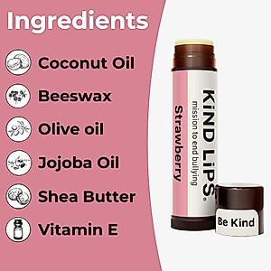 USDA Organic Lip Balm Variety 5 Pack – 100% Natural, Moisturizing Lip Care with Beeswax & Coconut Oil – Hydrating Lip Balm for Dry, Chapped Lips, Chapstick Best Lip Repair for Women, Men, Kids