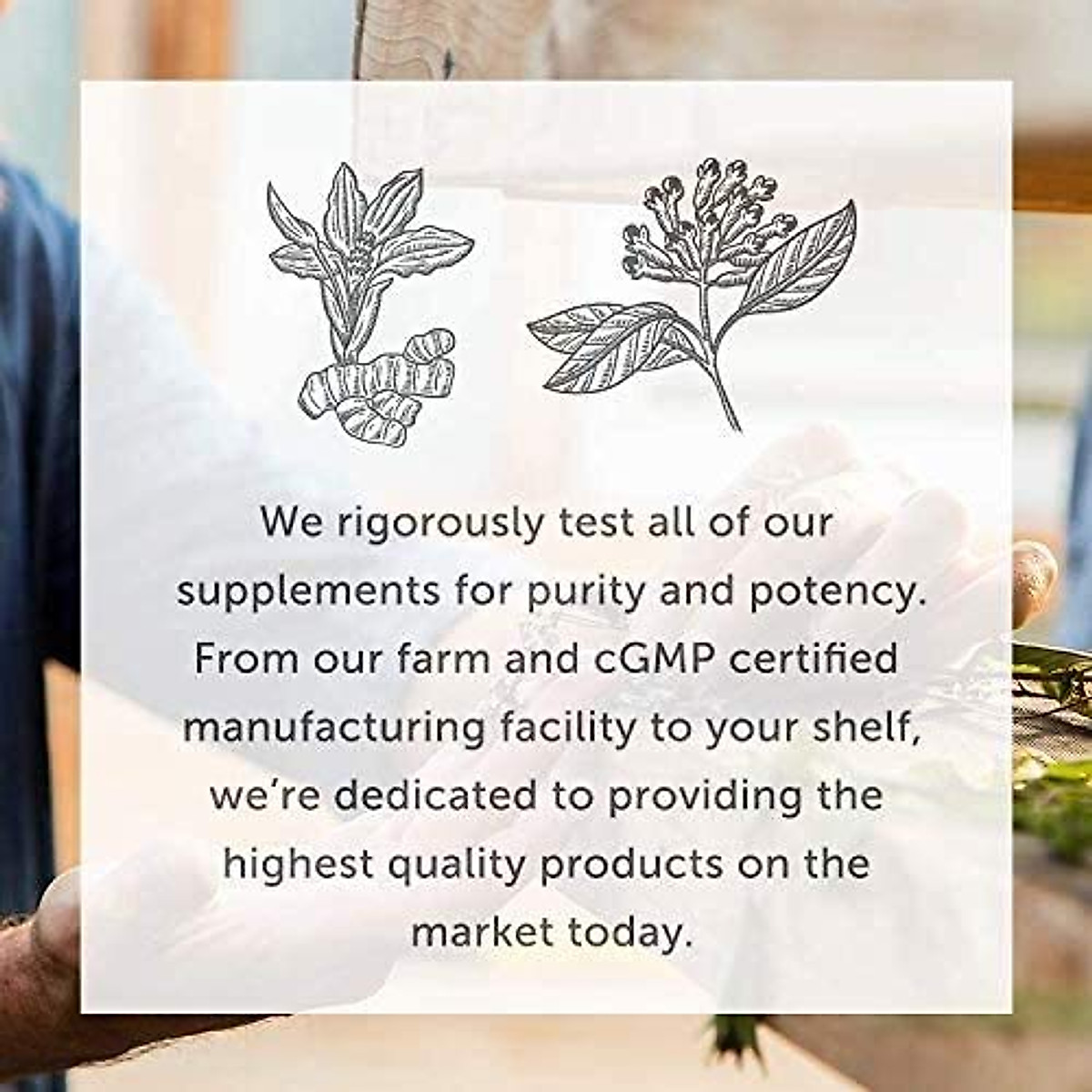 Global Healing Calcium and Magnesium Orotate - Bone Strength Supplement for Women and Men - Helps Support Strong Teeth and Cardiovascular Health for Normal Muscle Function - 120 Capsules