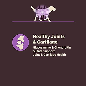 Wellness CORE Digestive Health Dry Senior Food with Wholesome Grains, Advanced Age for Dogs Over 7-Years Old, for Dogs with Sensitive Stomachs, Made in USA with Real Chicken (Senior, 4 Pound Bag)