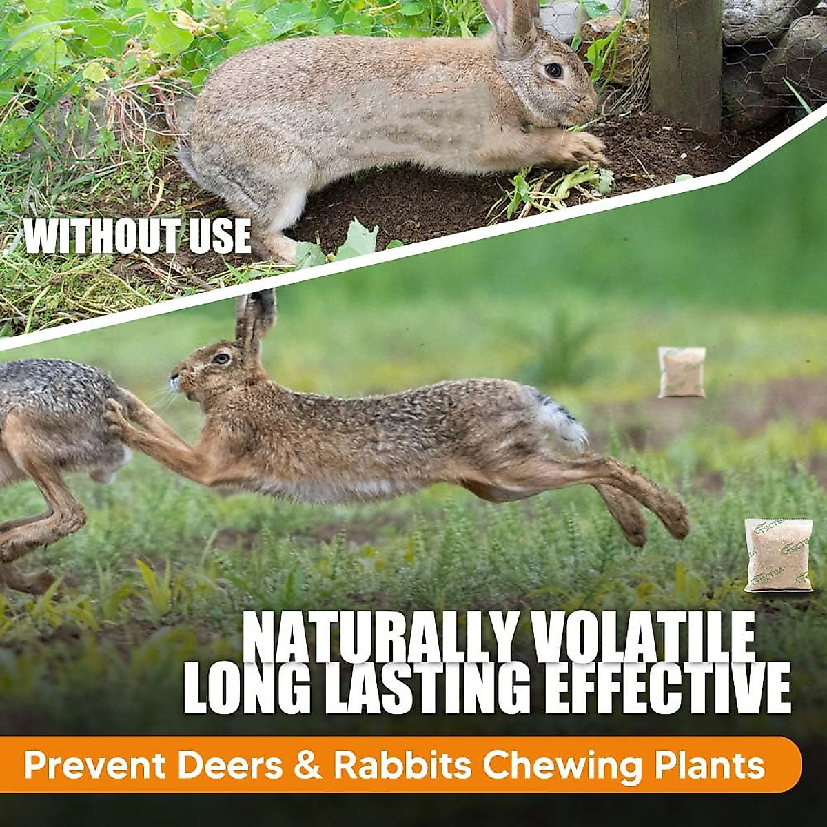 FANDISES Deer Repellent, Rabbit Repellent Outdoor, Deer and Rabbit Repellent for Plants, Powerful Rabbit Repellent for Garden, Deer Deterrent for Garden, Deer Away, Rabbit Deterrent for Yard - 10P