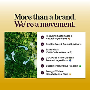 Lemon Sage Shampoo for Oily Hair - Sulfate Free Clarifying Shampoo for Build Up with Lemon Sage Keratin and Tea Tree Oil for Hair and Scalp Care - Deep Cleansing Rosemary Shampoo for Men and Women