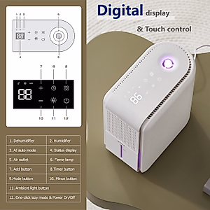 DINZAN 3 In 1 Humidifier Dehumidifier Combo With Air Filtration, Humidifiers Dehumidifier For Home Bedroom With Drain Hose Humidity and Temperature Display,5 Modes,7 Color LED Lights,Timer Set