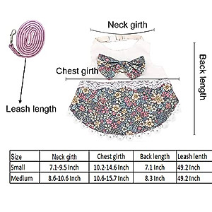 Anelekor Rabbit Lace Skirt with Bowknot Squirrel Harness and Leash Set Cat Princess Dress Small Animals Clothes Puppy Vest Walking for Dwarf Kitten Ferret Guinea Pig Mini Dog (Small)