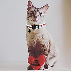 BoomBone 2 Pack Valentines Day Cat Collar Breakaway,Safety Adjustable Collars with Bell for Kitten