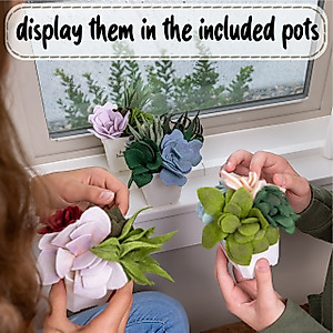 Hapinest DIY Potted Felt Succulents Craft Kit for Adults Women Teens, Arts & Crafts for Kids Fun Activities Project Ideas Hobbies for Women at Home, DIY Crafts for Adults Girls Ages 6-12 Years & Up