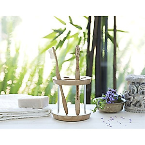 Plant-Based Bamboo Toothbrush - Adult Size (Pack of 12)