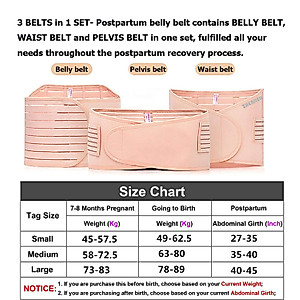 ZHENJIER 3 in 1 Postpartum Support - Recovery Belly/Waist/Pelvis Belt Shapewear (Fits Waistline 34"-41") Beige