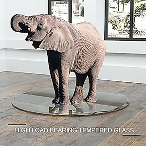 Round Tempered Glass Table Top Clear Glass Table Top (40 inch,3/8" Thick - Beveled Polished Edge)