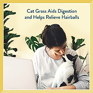 Pet Greens Treats Savory Salmon Semi-Moist Cat Treats 3 Ounce (Pack of 1)