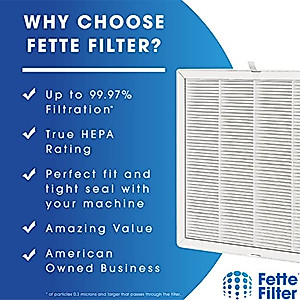 Fette Filter - E-300L True HEPA H13 Replacement Filter Compatible with MOOKA and MOOKA FAMILY E-300L Air Purifiers - Pack of 2