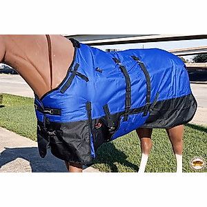 Royal Blue 72 in HILASON 600D Winter Waterproof Poly Horse Blanket Belly Wrap | Horse Blanket | Horse Turnout Blanket | Horse Blankets for Winter | Waterproof Turnout Blankets for Horses | Blankets