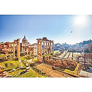 Baocicco 6.5x5ft Polyester Backdrop Baby Shower Backdrop Royal Crown Angel Wings Angel Halo Pink Curtains Holy Light Photography Background Christening Baptism Welcome Newborn Little Angel Portrait