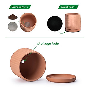 D'vine Dev 6 Inch Terracotta Beaded Planter Pot - Flower Pot with Drainage Hole and Saucer for Indoor Succulent Plants or Flowers, Terracotta, 27-C-X-7