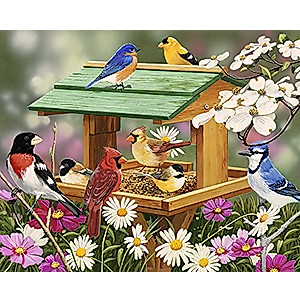 Spring Feast Birds Panel with Daisy and Dogwood Cotton Fabric AL4207 Size 36 X 44 Inches
