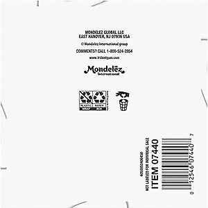 Trident White Spearmint Sugar Free Gum, 4 Bottles of 60 Pieces (240 Total Pieces)