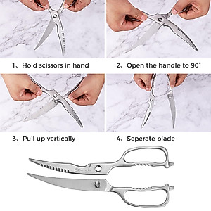 Sunnecko Kitchen Scissors for Food, Kitchen Scissors Heavy Duty Kitchen Shears That Come Apart, 9 Inch Fully Forged Stainless Steel with Curved Blades