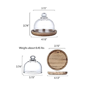 Glass Dome with Wooden Base Mini Cheese Plant Platter Dessert Plate Cake Plate for Cheese Candy Decorative and Succulents Display Clear Glass Jar 4.13"x3.74"x3.15"