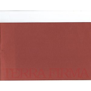 Terra firma: January 15 to March 2, 1997, the Art Gallery, University of Maryland, College Park, Md