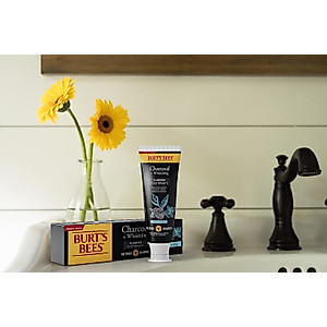 Burt's Bees Toothpaste, Natural Flavor, Charcoal with Fluoride Toothpaste, Mountain Mint, 3 x 4.7oz