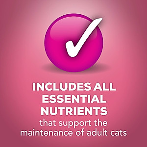 Purina Friskies Gravy Wet Cat Food Variety Pack, Prime Filets Meaty Favorites - (24) 5.5 oz. Cans