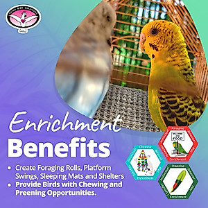 Super Bird Creations SB50006 Seagrass Mat for Cage Decor, Pet Enrichment and Boredom Relief - Versatile Toy-Making Base - Ideal for Parrots - Small to Large Birds & Reptiles - 12"x14" (3 Pack)