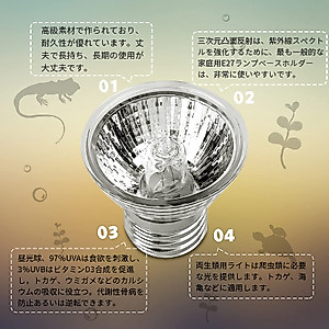 Pilipane Tortoise Heat Lamp Tortoise Bulb, 75W Reptile Heating Bulb for Lizards, Snakes, Aquarium Aquarium Reptile Amphibian, Terrarium Heat Lamps and surroundings Lighting for Pet Supplies 110V