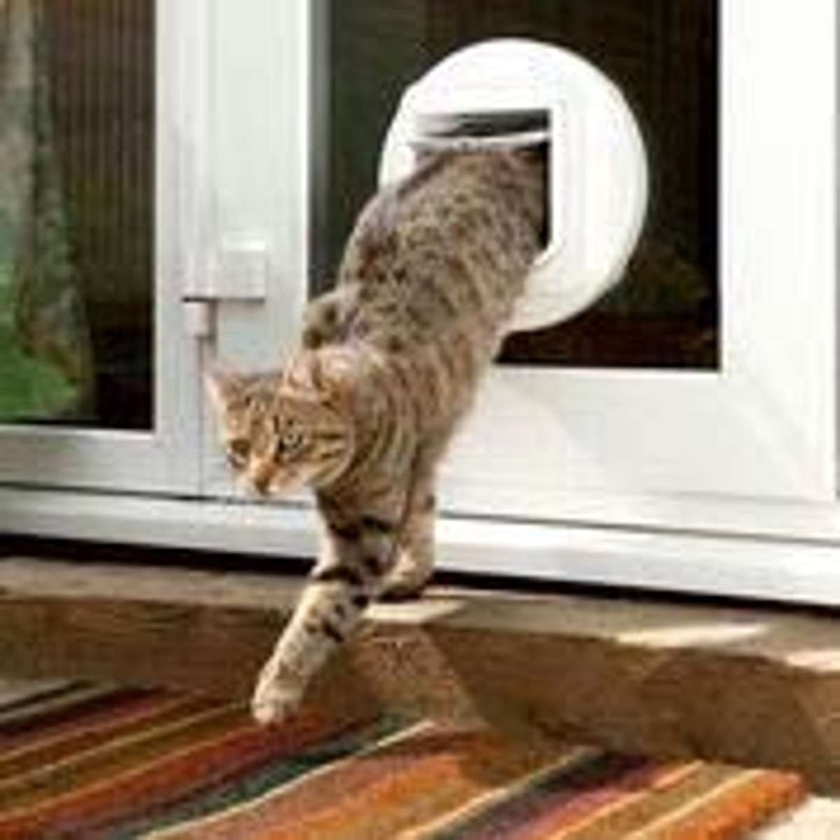 SureFlap Microchip Cat Door Connect, 5.13" L X 5.63" W X 4.75" H, Small, White