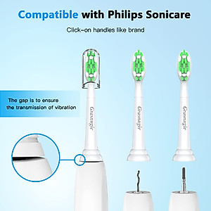 Grasnugie Replacement Toothbrush Head for Philips Sonicare FlexCare ProtectiveClean HealthyWhite 6100 5100 4100 1100 W2 W3 C2 C3 G2 G3 HX6062 HX6064 Electric Toothbrush, 10 Brush Heads