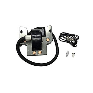 ENGINERUN 398593 Ignition Coil Module Magneto for Briggs & Stratton 3HP Engines 793281, 793352, 792594, 395489, 398593 496914