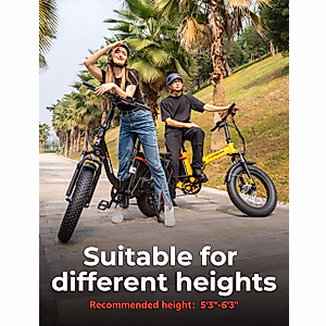 Hipeak Elias Ebike Folding Electric Bike for Adults 750W Speeds Up to 25MPH Large 48V 15Ah Removable Battery 20" x 4.0"Fat Tire Electric Bicycle with Front Dual Suspension,UL2849 Certified