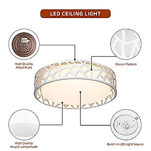 VICNIE Flush Mount Light Fixture, 12 inch 15W 1100 Lumens LED Ceiling Lights, Dimmable 3000K Warm White, ETL Listed for Kitchen, Hallway, Bedroom, Stairways (Metal Body and Acrylic Shade)