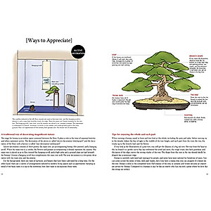Introduction to Bonsai: The Complete Illustrated Guide for Beginners (with Monthly Growth Schedules and over 2,000 Illustrations)