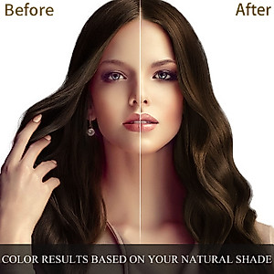 Ivnil Chestnut Brown Hair Dye Shampoo 3 in 1 Hair Color Shampoo for Women & Men - Herbal Ingredients Color Shampoo in Minutes 500ML