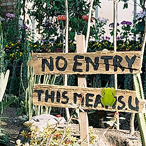 UDOME Plant Decorations for Pots, Miniature Fairy Garden Set of 2 Mini Hanging Frog Figurines, Terrarium Frog Flower Pot and Vase Hugger, Creative Hanging Animal Potted Ornaments, Green