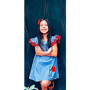 Unique Baby Girls Back to School Denim Apple Dress (8Y, Red)