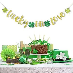 Lucky in Love Banner - St Patricks Day Decoration,st Patricks Day Banner,st Patricks Day Wedding Decor, St Patricks Day Bridal Shower,lucky in Love St Patricks Bachelorette Party Banner