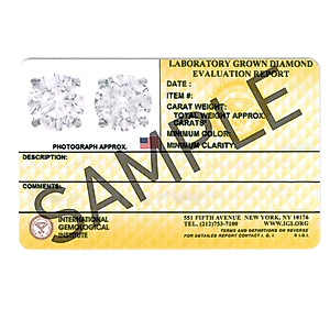 IGI Certified 1.00 Carat Lab-Created Diamond Stud Earrings 14kt White Gold (H-J Color VS2-SI1 Clarity)