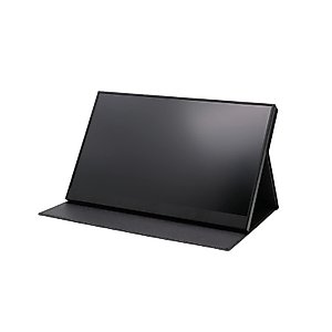DFZ 15.6 Inch Portable Monitor, FHD 1920 X 1080 Computer Display, IPS Extend Monitor, Built-in Speakers, Portable Gaming Monitors for Computer, Laptop, Phones