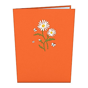 Lovepop Cards - Daisies with Monarch Butterfly, 3D Butterfly Birthday Card, Thank You Card, Blank Envelope Included