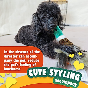 ALL FOR PAWS Classic - Mallard - L