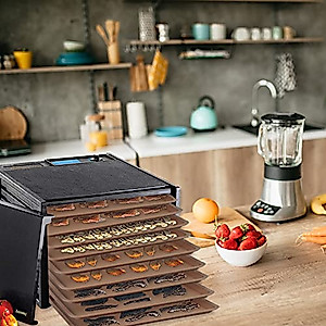 6Pcs Silicone Dehydrator Mats with Edge for 14" x 14" Trays Compatible with Excalibur Dehydrator, - Nonstick Silicone Drye Sheets Multi-purpose Reusable for Jerky, Fruit, Meat, Herbs, Vegetables, Cracker…