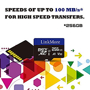 LinkMore 256GB Micro SDXC Card, A1, UHS-I, U3, V30, Class 10 Compatible, Read Speed Up to 100 MB/s,Write Speed Up to 75 MB/s, SD Adapter Included