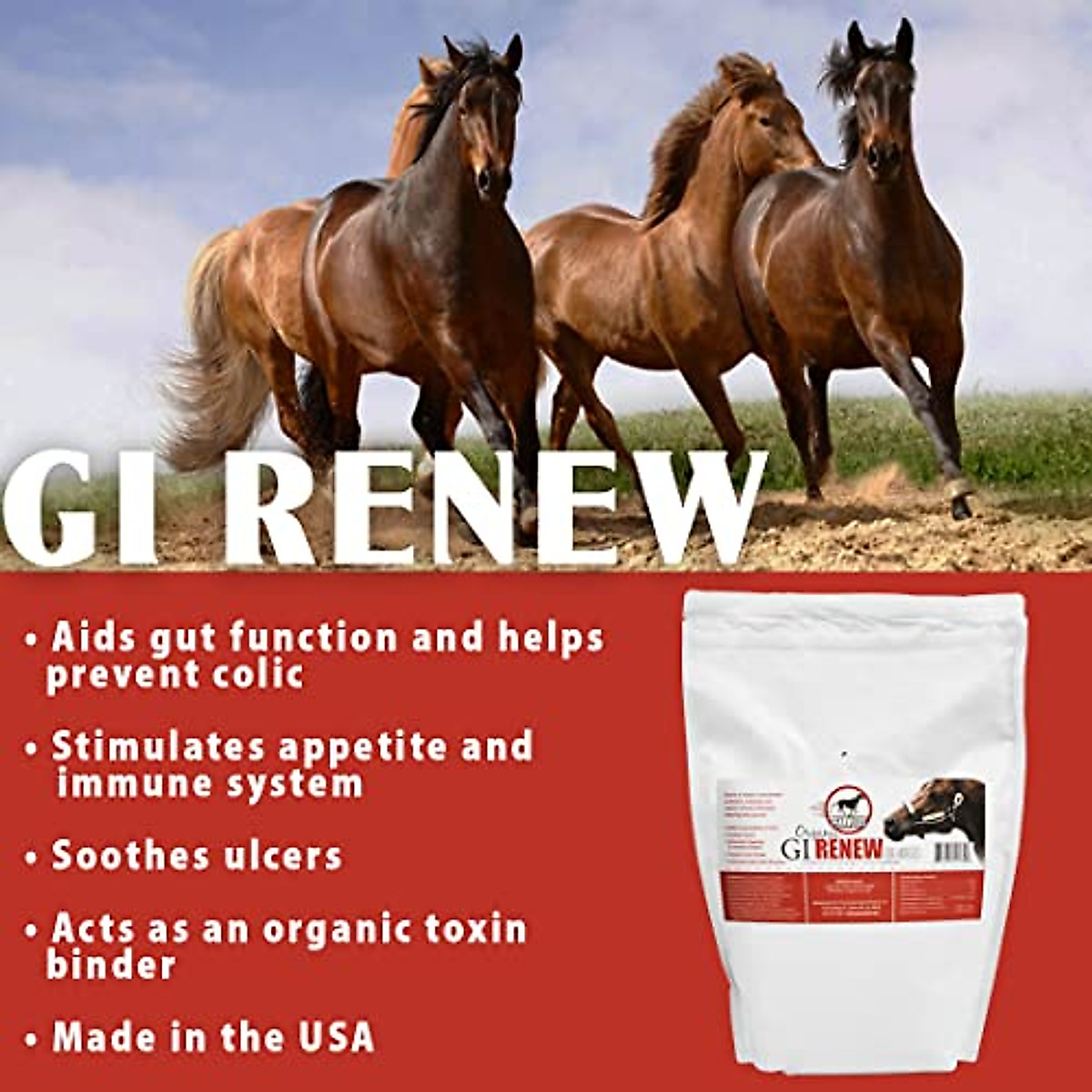 Pennwoods GI Renew, Probiotics for Equine, Immune and Appetite Stimulation, Prebiotics, Digestive Enzymes | Horse Supplement Providing Ulcer Relief and Organic Toxin Binder, 5 LB Pouch