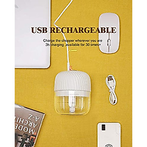 DmofwHi Electric Garlic Chopper,Cordless Mini Chopper With USB Rechargeable,304 Stainless Steel Blade,250ml Portable Electric Mini Food Chopper for Garlic,Ginger,Onion,Meat-Cream White