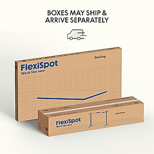 FLEXISPOT EN1 One-Piece Height Adjustable Desk 48 x 30 inch Electric Standing Desk, Stand Up Desk for Home Office (Silver Frame + 48" Natural Top, 2 Packages)