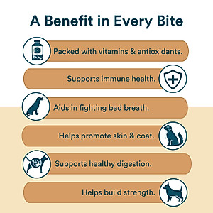 Benefit Biscuits, All Natural Dog Treats, Certified Vegan, Non GMO, Wheat Free, Healthy Dog Biscuits, Made in USA (Peanut Butter, Large Bag (1lb))