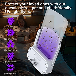 Indoor UV Light Fly Trap with 10 Glue Boards - Effective Plug-in Bug Trap for Houseflies and Gnats - Odorless and Mess-Free Fly Control Solution