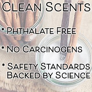 Best Wedding Planner Ever Candle Gift, Vanilla Cinnamon Scented Candle from Bride or Groom, Highly Scented & Long Lasting Coconut Wax Luxury Candle, Large, SweetHollow Candles