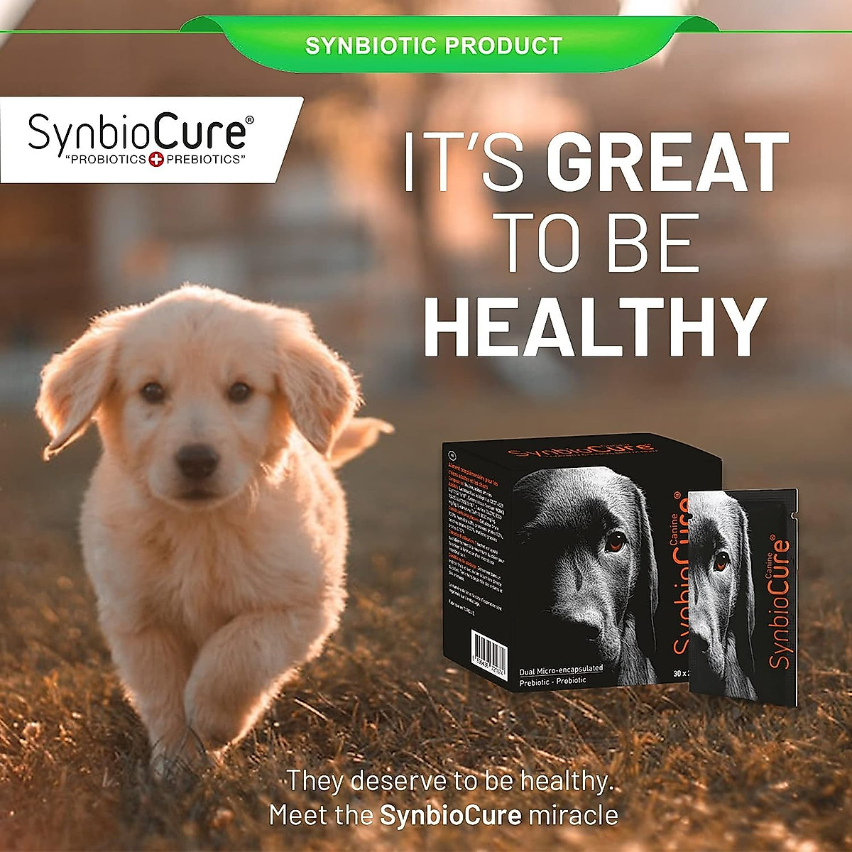 Synbiocure I Probiotics & Prebiotics for Dogs I Powder Dog Supplement I Digestive Health Support I 200 Billion Bacteria Per Sachet I 30 Sachets*2 g