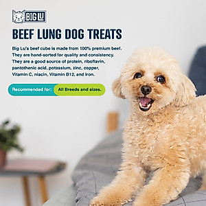 Big Lu - Beef Lung Dog Treats, Premium 100% Beef, All-Natural Dog Chews, Rich in Glucosamine and Chondroitin for Joint Health, Bite-Sized Chunks (12 Ounce)
